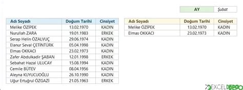 Tarihe Göre Filtreleme Exceldepo