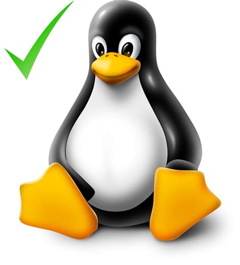 Troubleshoot Your Linux Problem By Perseus01 Fiverr