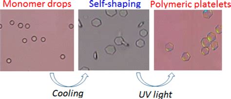 Bottom Up Synthesis Of Polymeric Micro And Nanoparticles With Regular
