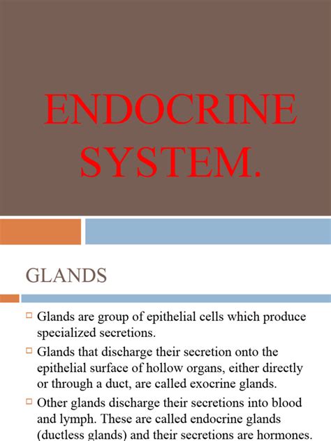 Endocrinesystem Notes Pdf Endocrine System Thyroid