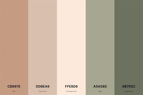 Pin On Sage Green Color Palettes