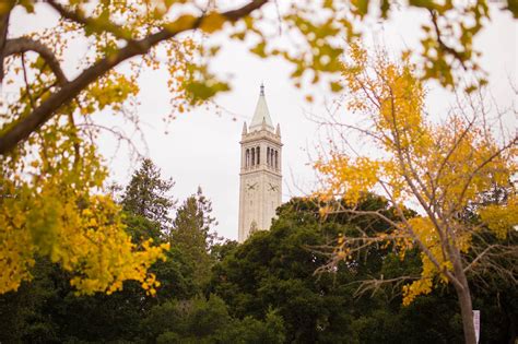 Најдобрите универзитети во светот според ангажираноста за околината според Qs