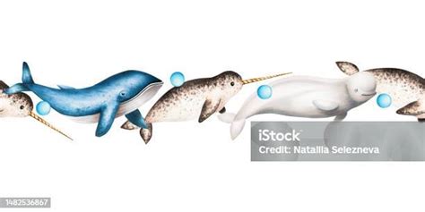 벨루가 푸른 고래 일각고래가 흰색 배경에 격리된 수채화 경계 손으로 그림 현실적인 북극과 남극 해양 포유류 디자이너 장식 엽서 포장지 스크랩북 표지 로고 초대장 포스터 및