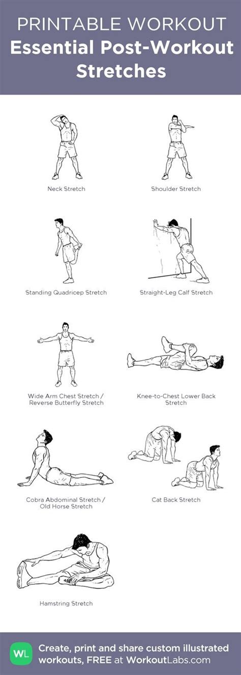 40 Charts Of Post Workout Stretches To Prevent Injuries Bored Art