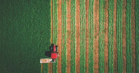 Reflections On 2023 Agtech Trends S2g Investments