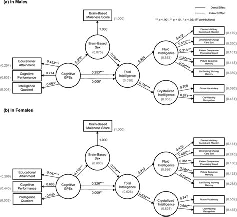Structural Equation Modeling Of Tripartite Relationships Cognitive