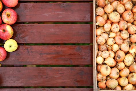 많은 마른 양파 갈색 테이블에 전체 초라한 나무 판자 컨테이너 상자에 손상된 빨간 사과의 무리 여름 가을 시즌은 가난하고 나쁜 수확을 기대합니다 시골 농장 코로나바이러스