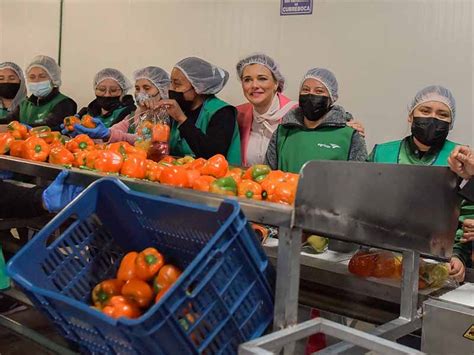 Busca Maru replicar en Chihuahua exitoso modelo de producción agrícola