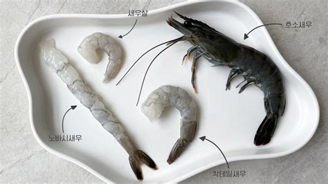다이아몬드새우 새우의 종류 호소새우칵테일새우생새우살노바시새우 Youtube