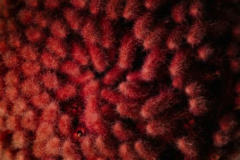 Microsoft 365 Visual Refresh Of App Icons