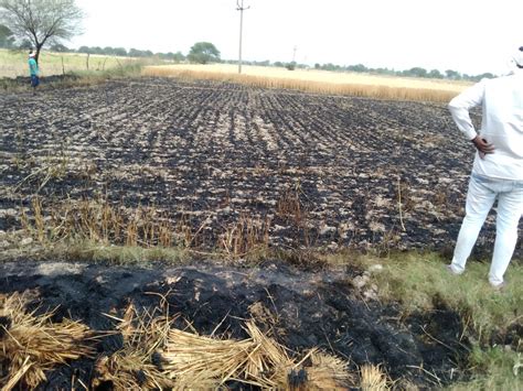 डामर गांव में आंधी से विद्युत तार से निकली चिंगारी से गेहूं की फसल में लगी आग