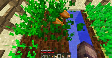 How To Make Rabbit Stew In Minecraft 8 Steps With Pictures