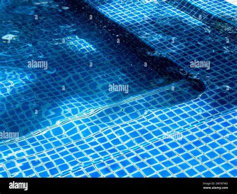 Swimming Pool Steps With Clear Water Surface Background Nobody