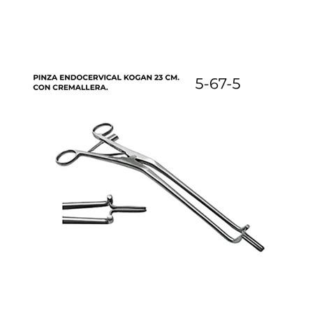 Pinza Endocervical Kogan 23 Cm Con Cremallera Parte Activa 5mm Hp