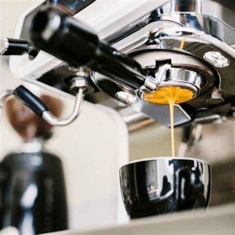 Dark Roast Coffee Comprehensive Guide To Its Richness And Flavor