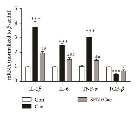 Sfn Modulates Expression Of Inflammatory Mediators Nf κb Activity And Download Scientific