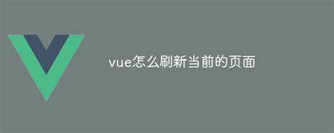 Vue怎么刷新当前的页面 叮当号