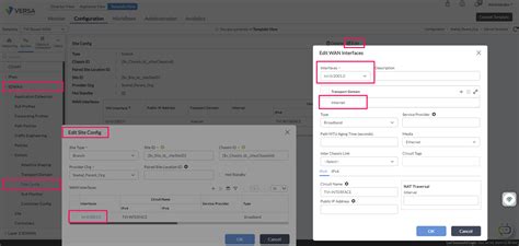 How To Create A Tvi Interface As A Wan Link On A Branch Or Controller Using The Versa Director