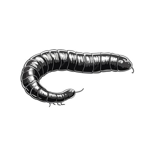 Premium Vector Hand Drawn Sketch Earthworm Illustration
