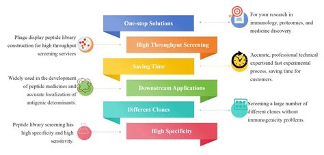 Phage Display Peptide Library Service Kmd Bioscience Nanobody Discovery Platform Protein