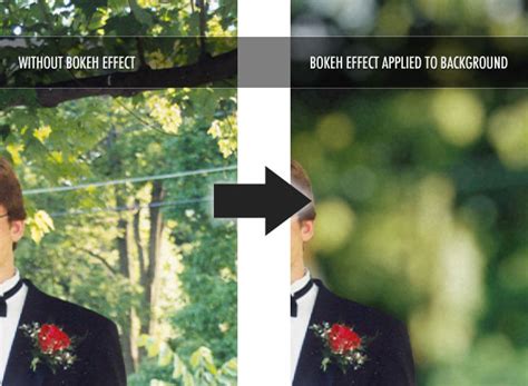 Inspirational Examples Of The Bokeh Effect Psdfan