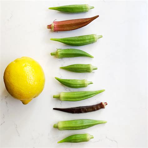 Grilled Okra Recipe The Blue Heron Project Grilled Okra Recipe The Blue Heron Project