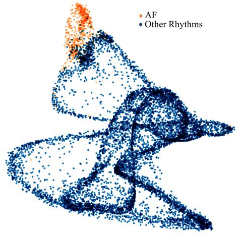 Visualization Of The Features Extracted From The Deep Learning Pipeline