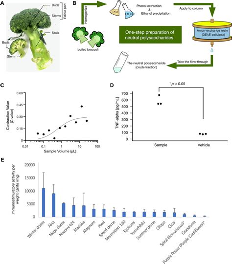 Frontiers High Molecular Weight Glucose Homopolymer Of Broccoli Brassica Oleracea Var