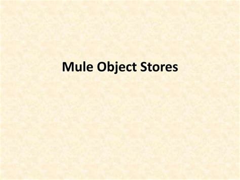 Mule Object Stores Ppt