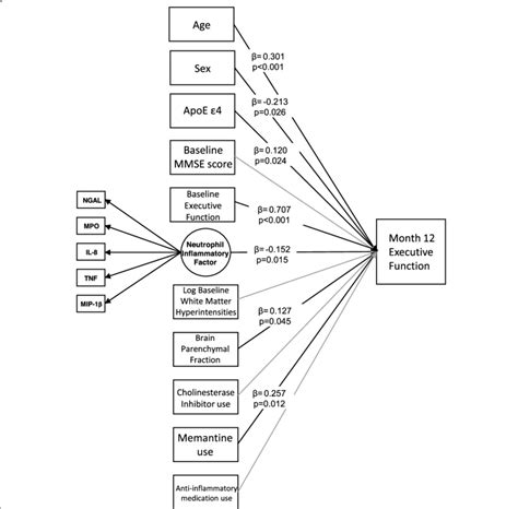 Linear Regression Model Predicting Executive Function Z Scores At Month
