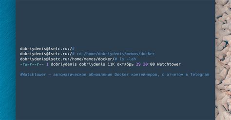 Watchtower автоматическое обновление Docker контейнеров с отчетом в Telegram — Teletype