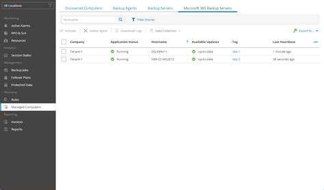 Viewing And Exporting Veeam Backup For Microsoft 365 Server Details
