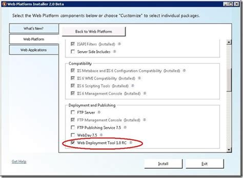 Basic Microsoft Web Deployment Tool Setup For Visual Studio 2010 Net