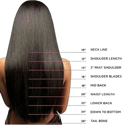 Braiding Hair Length Chart Educational Chart Resources