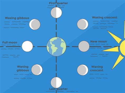 The Phases Of The Moon Diagram