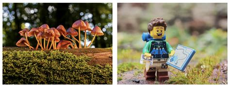 Block Design Block Editor Handbook Wordpress Developer Resources