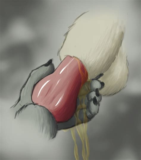 Rule 34 Animal Genitalia Artist Silvertail Bodily Fluids Canid Canine