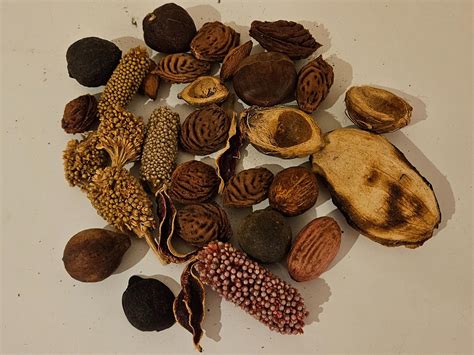 Mixed Kernels Nuts And Pods Pack