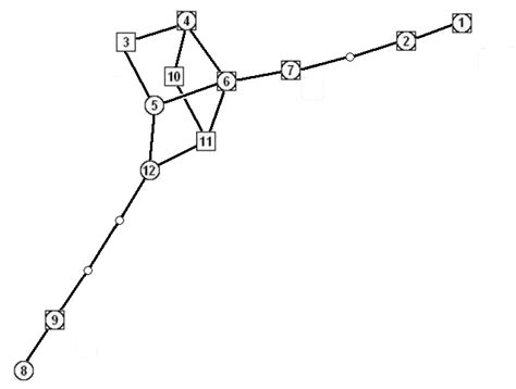 minimum spanning network of haplotypes haplotype nomenclature