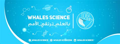 ملتقى العلوم 1 بنادول الأزرق التركيب 500 ملغ باراسيتامول