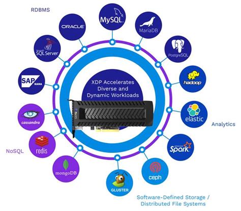 Pliops Launches Extreme Data Processor To Multiply Data Intensive Application Performance And