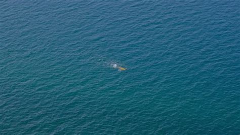 Woman In Yellow Swimsuit Swimming In The Sea Nobody Solitute Freedom And Relaxation Lady