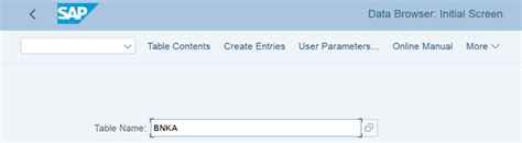 How To Create A Bank Key In Sap Using Transaction Fi01