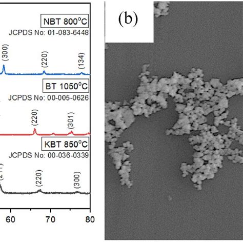 Schematic Description Of The Templated Grain Growth Tgg Process Download Scientific Diagram