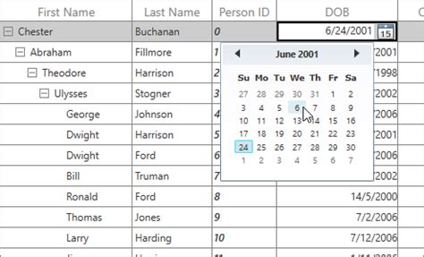 WPF Editable TreeGrid Custom Editor Syncfusion