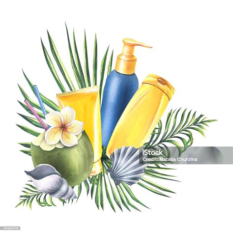 코코넛 조개껍데기 야자수 가지로 만든 해변 칵테일을 곁들인 선크림 튜브 손으로 그린 수채화 그림 흰색 배경에 격리된 구성입니다 구도에 대한 스톡 벡터 아트 및 기타 이미지