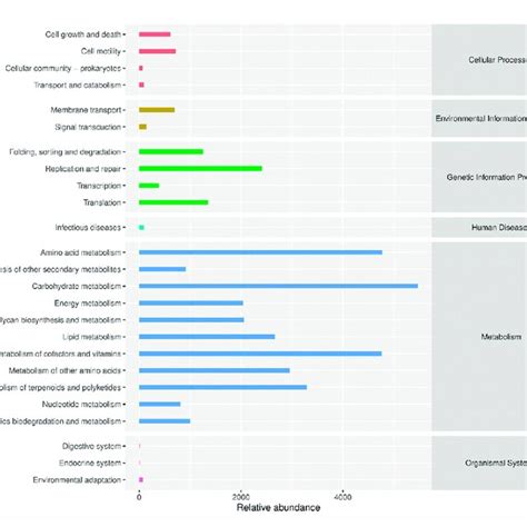 Secondary Functional Pathways And Relative Abundance Of Differential