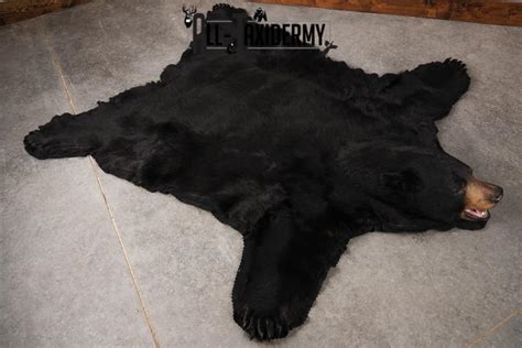 Black Bear Taxidermy Rug Sku 2607 All Taxidermy