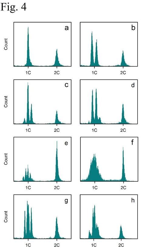 Representative Examples Of Genome Size Variation In Haploid Males Each