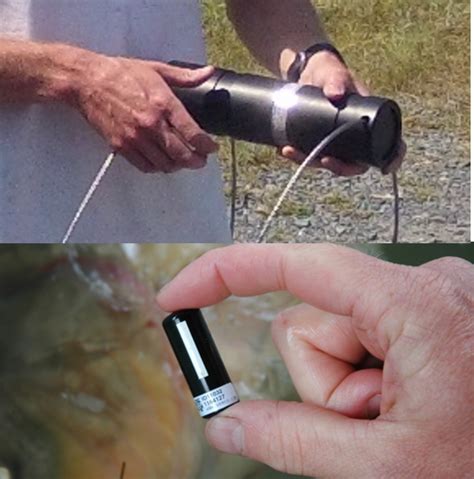 Serc Acoustic Receiver Array Smithsonian Environmental Research Center